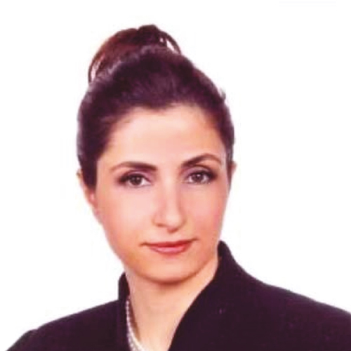 Board Members - Transparency International - Lebanon